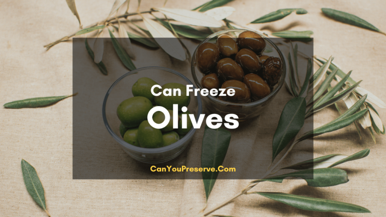 Can Freeze Olives? – Exploring the Possibilitiesn of Freezing Olives ...
