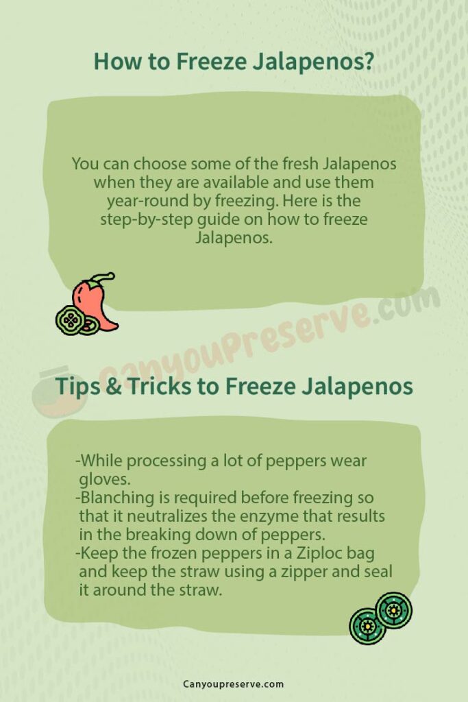 Can You Freeze Jalapenos – Simple Guide On How To Freeze Jalapenos To ...