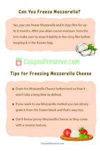 Can You Freeze Mozzarella Cheese?: Here’s How To Do It & The Secret to Perfectly Frozen ...