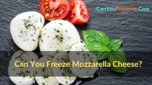 Can You Freeze Mozzarella Cheese?: Here’s How To Do It & The Secret to Perfectly Frozen ...