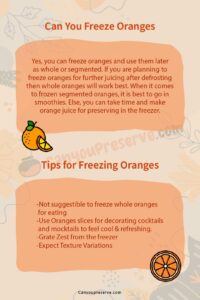 Can You Freeze Oranges? – A Quick Guide on How Easily The Freezing ...