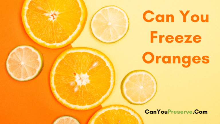 Can You Freeze Oranges? – A Quick Guide on How Easily The Freezing ...