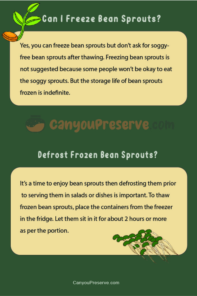 Can Freeze Bean Sprouts? Here’s How to Freeze Bean Sprouts: Freezing ...