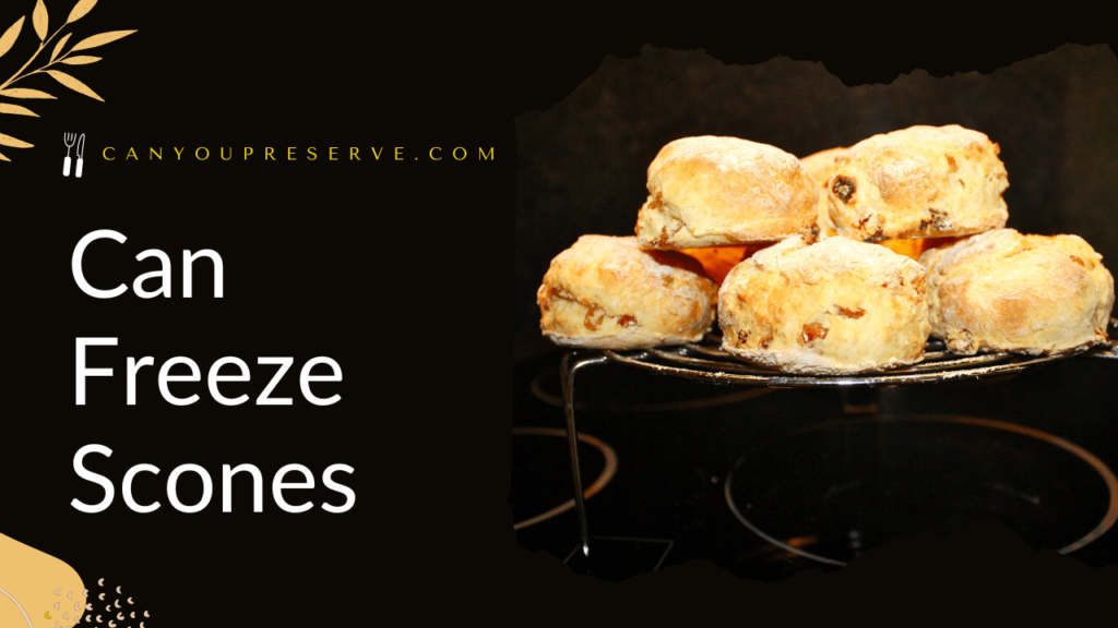 Can Freeze Scones? – Yes, Here’s How Freezing & Thawing Scones Process ...