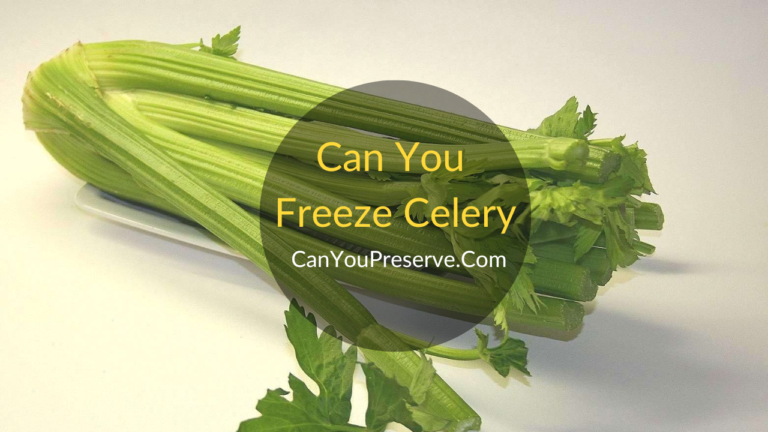Can You Freeze Celery? – Everything You Need To Know About Freezing ...