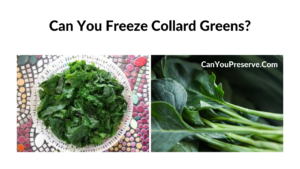 Can You Freeze Collard Greens – Here’s A Guide on How to Store Collard ...