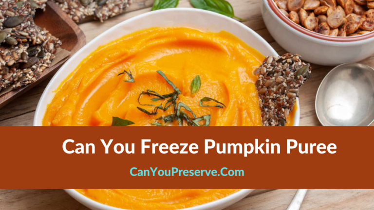 Can You Freeze Pumpkin Puree? – Tips on How to Preserve Leftover ...