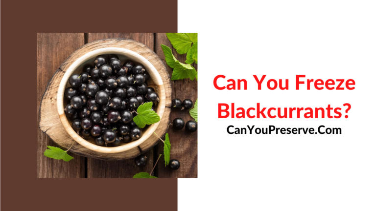 Can You Freeze Blackcurrants? – Yes, Here’s How To Do It & What To Do With Frozen Blackcurrants ...