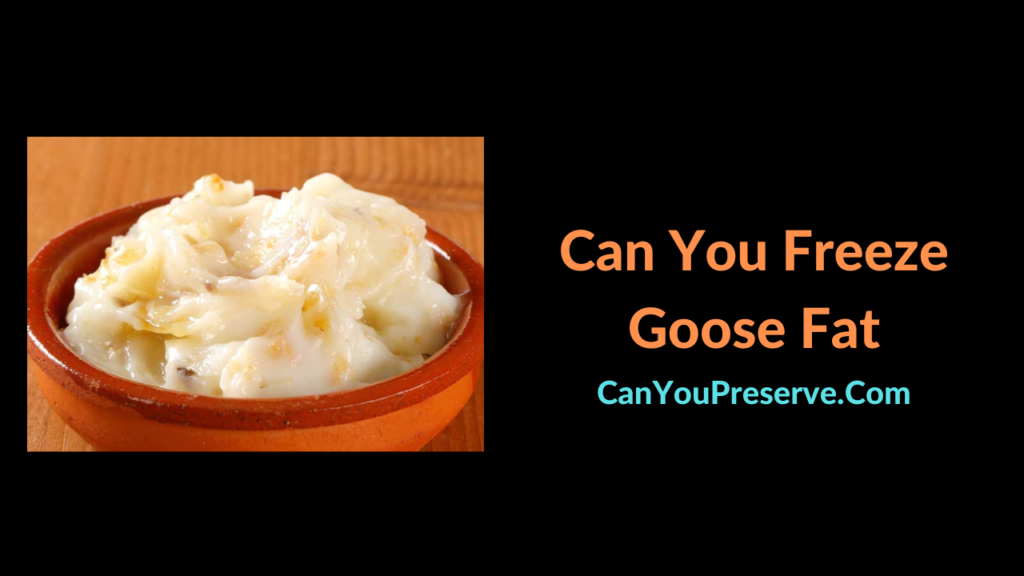 Can You Freeze Goose Fat – A Step-by-Step Guide on Freezing Goose Fat ...