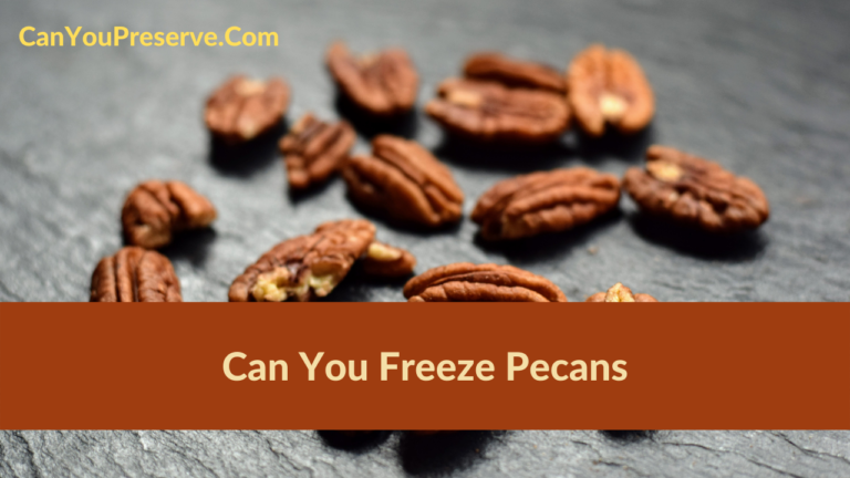 How Can You Freeze Pecans Effortlessly Yet Effectively? – Can You Preserve