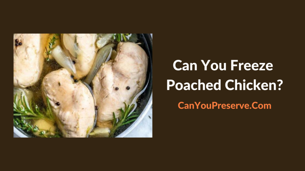 Can You Freeze Poached Chicken – Best Ways To Freeze Poached Chicken ...