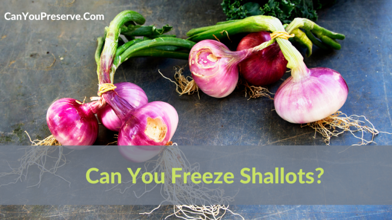 Can You Freeze Shallots – Must Read Tips On How To Freeze Shallots ...