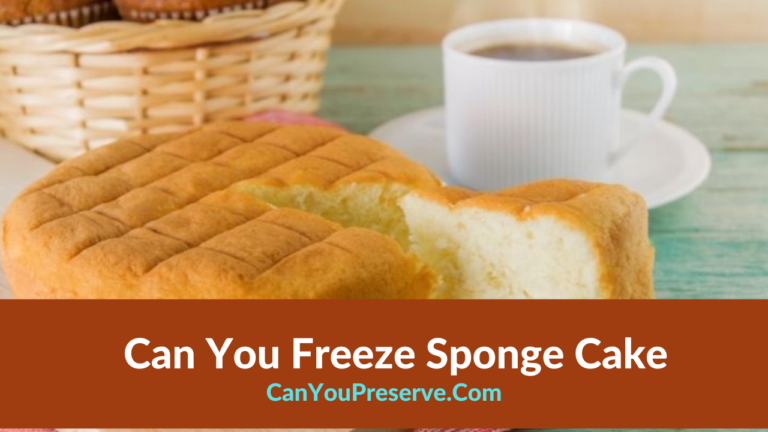 Can You Freeze Sponge Cake – How To Freeze & Defrost Sponge Cake? – Can ...