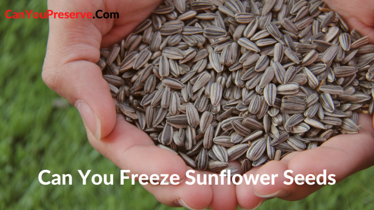 Can You Freeze Sunflower Seeds? – How to Freeze Sunflower Seeds for ...
