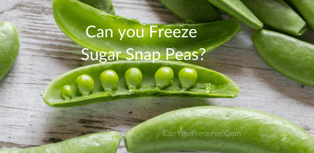 Can you Freeze Sugar Snap Peas? – How to Blanch and Freeze Sugar Snap ...