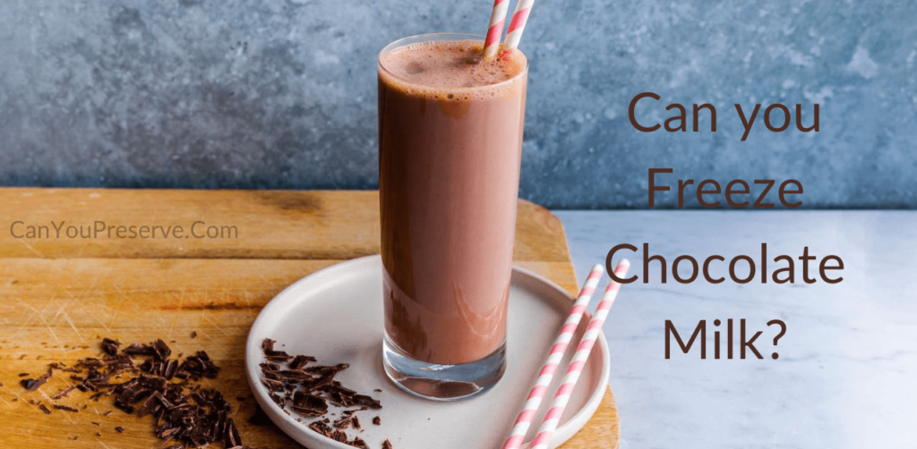 Can you Freeze Chocolate Milk? – Maximizing Shelf Life: The Ins and ...