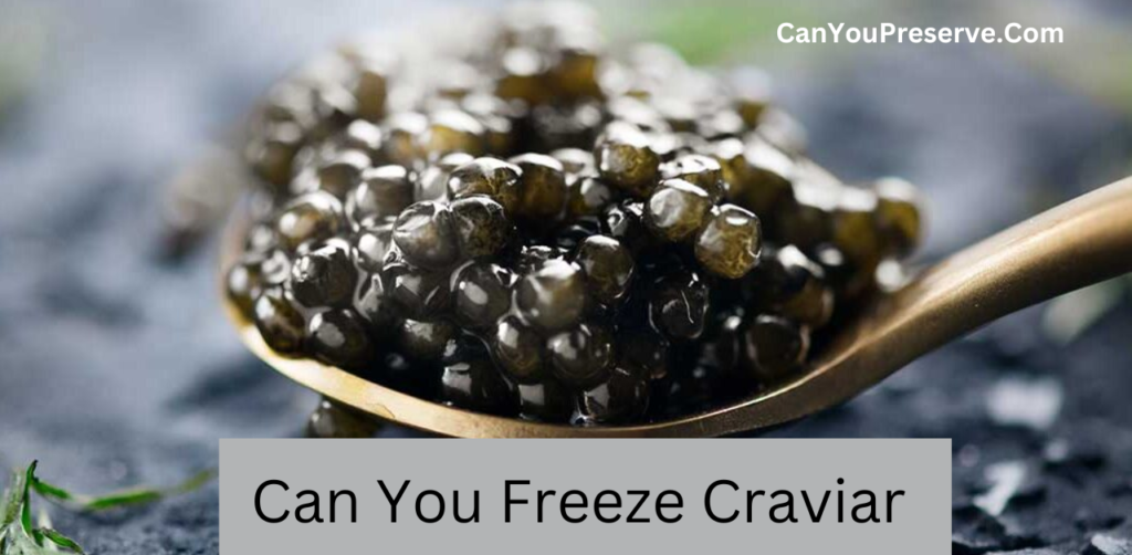 Can You Freeze Caviar? – How To Store & Freeze Caviar? – Methods of ...