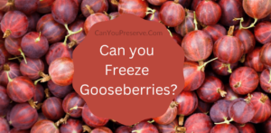 Can you Freeze Gooseberries? – Step by Step Guide To Freeze ...