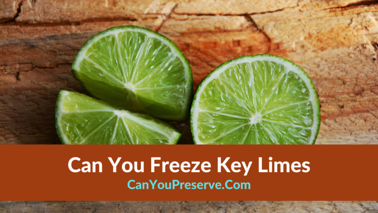 Can You Freeze Key Limes – How Long Can You Freeze Key Limes? – Can You ...