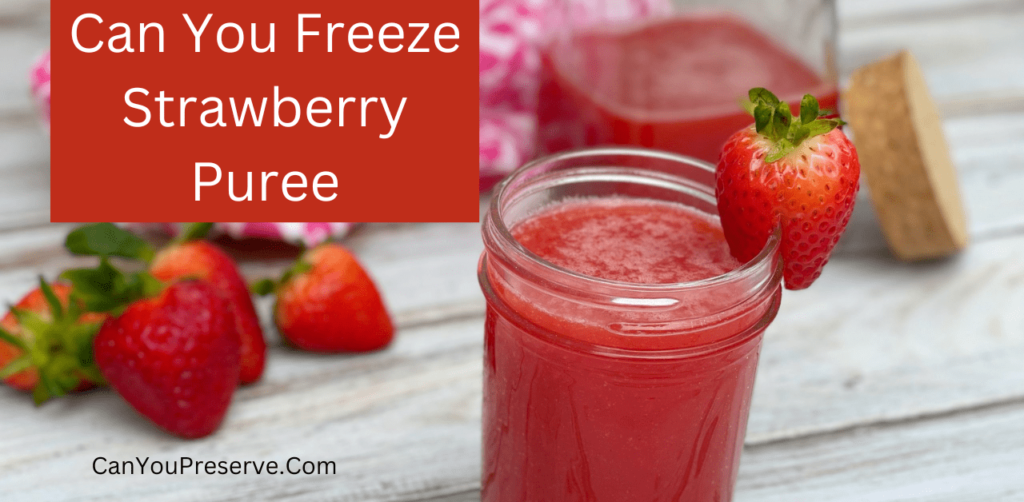 Can You Freeze Strawberry Puree?- How To Freeze Strawberry Puree ...