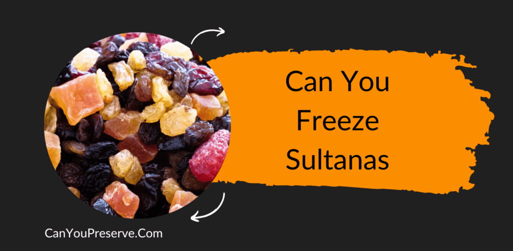 Can You Freeze Sultanas? – Guide for Freezing & Defrosting Process ...