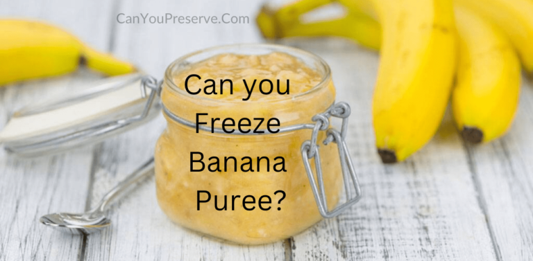 Can you Freeze Banana Puree? – How Do You Preserve Banana Puree for ...