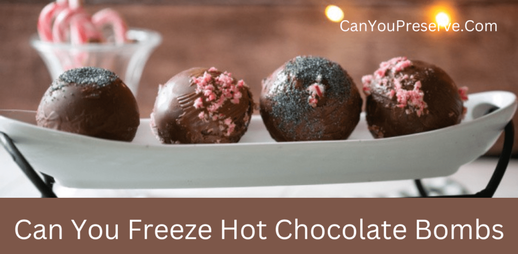 Can You Freeze Hot Chocolate Bombs? – 3 Tips for Freezing Hot Chocolate ...