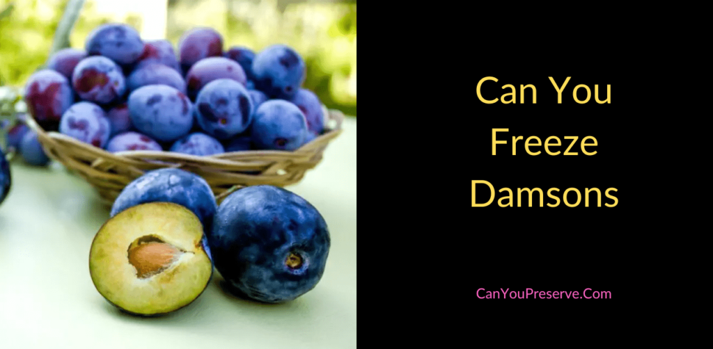 Can You Freeze Damsons? – Ins and Outs of Freezing Damsons – Can You ...