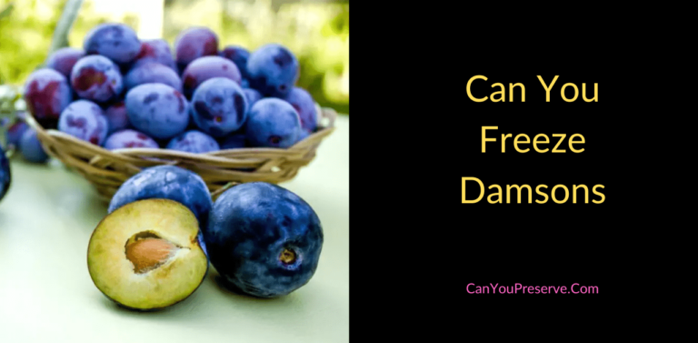 Can You Freeze Damsons? – Ins and Outs of Freezing Damsons – Can You ...