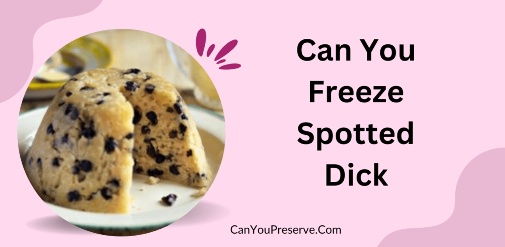 Can You Freeze Spotted Dick – 5 Steps to Freeze Spotted Dick Along With Tips – Can You Preserve