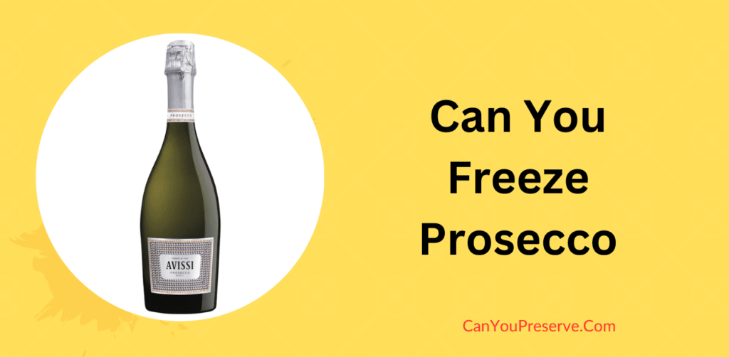 Can You Freeze Prosecco – Best Way To Preserve Prosecco – Can You ...